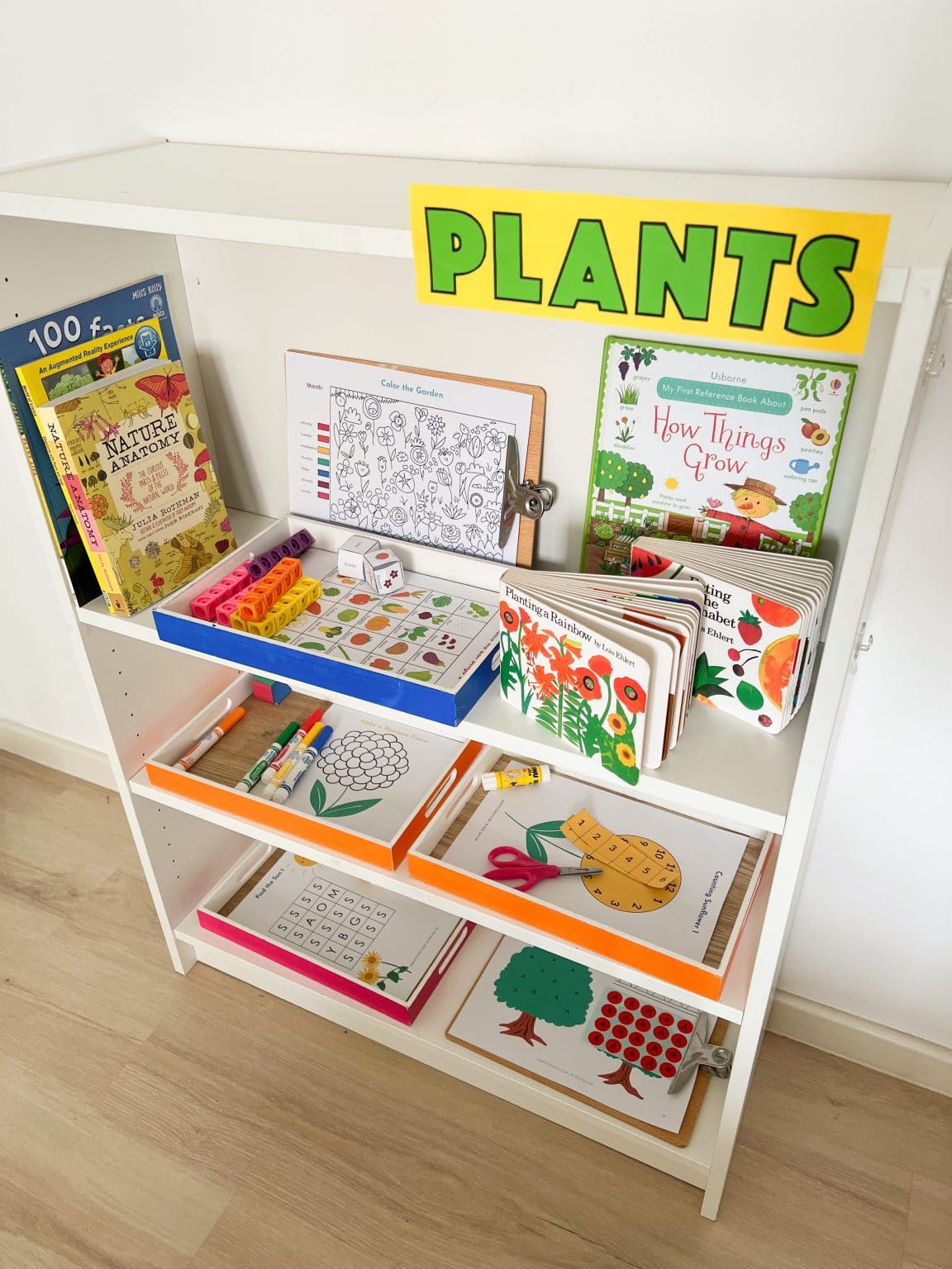 Everything you need to know about setting up a preschool theme learning ...