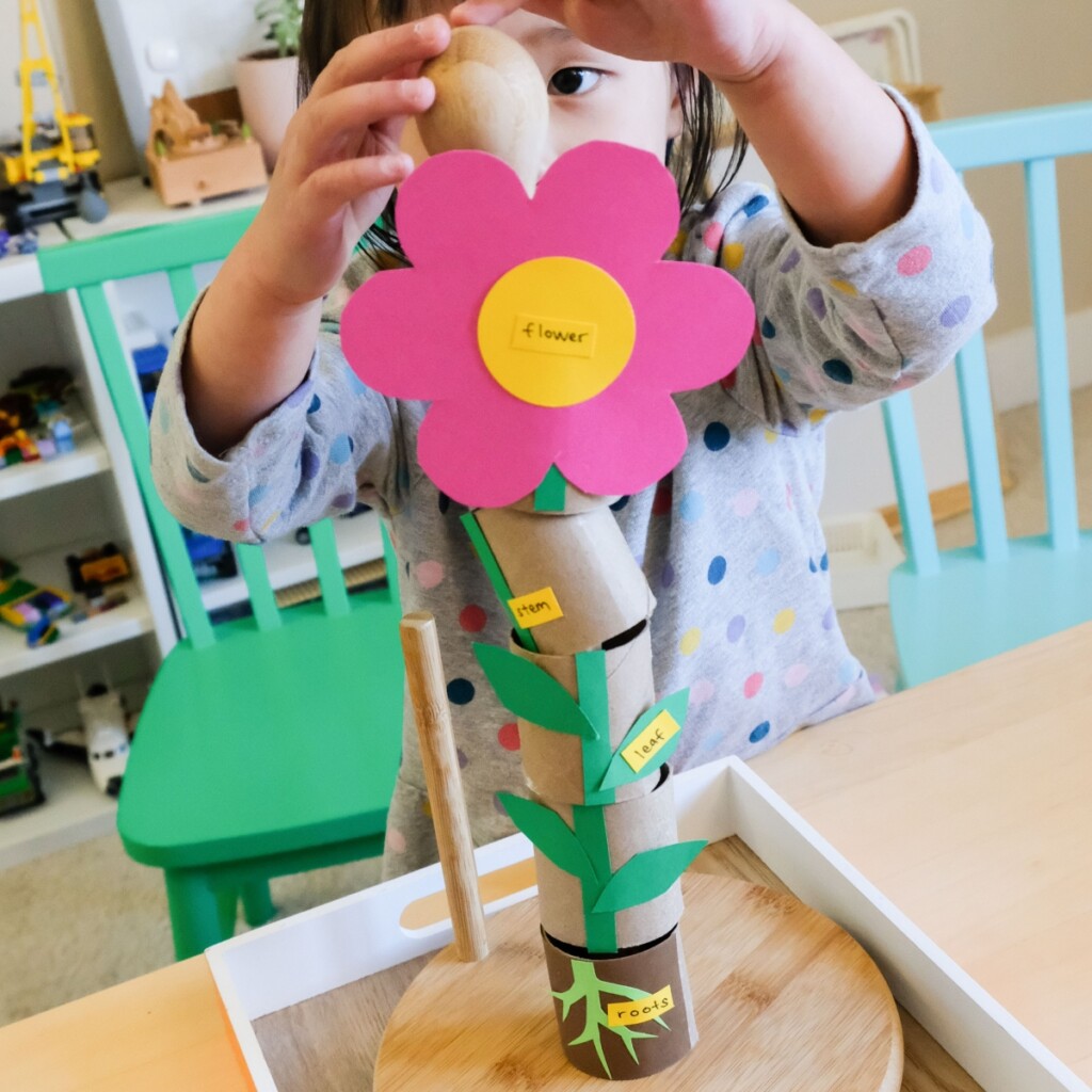 TP Roll Parts of a Flower Learning Toy - Happy Tot Shelf