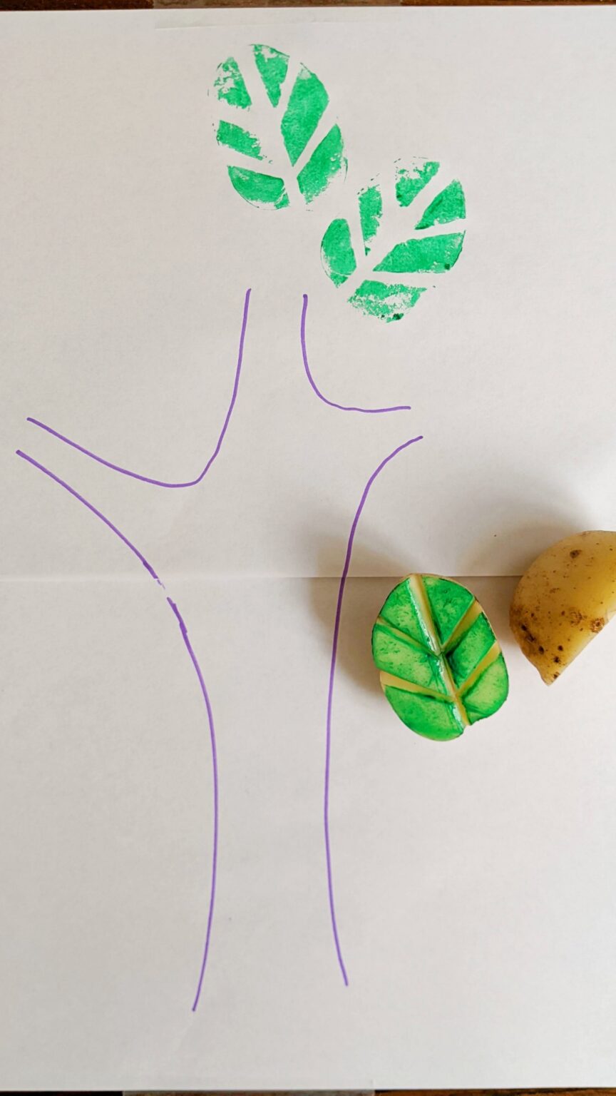 Leaf Activities for 2 to 5 Year Olds - Happy Tot Shelf